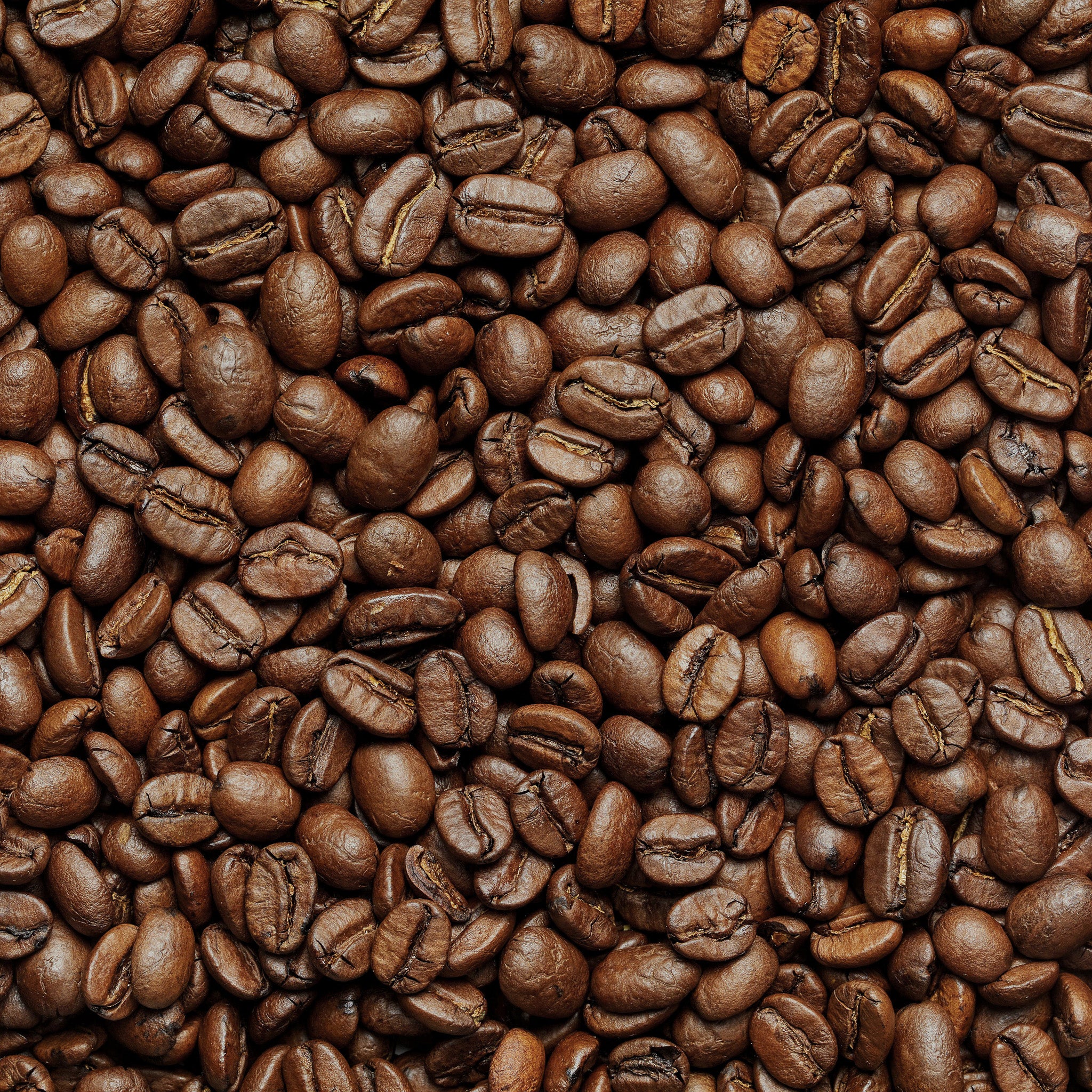 LIGHT – Cruiser Coffee